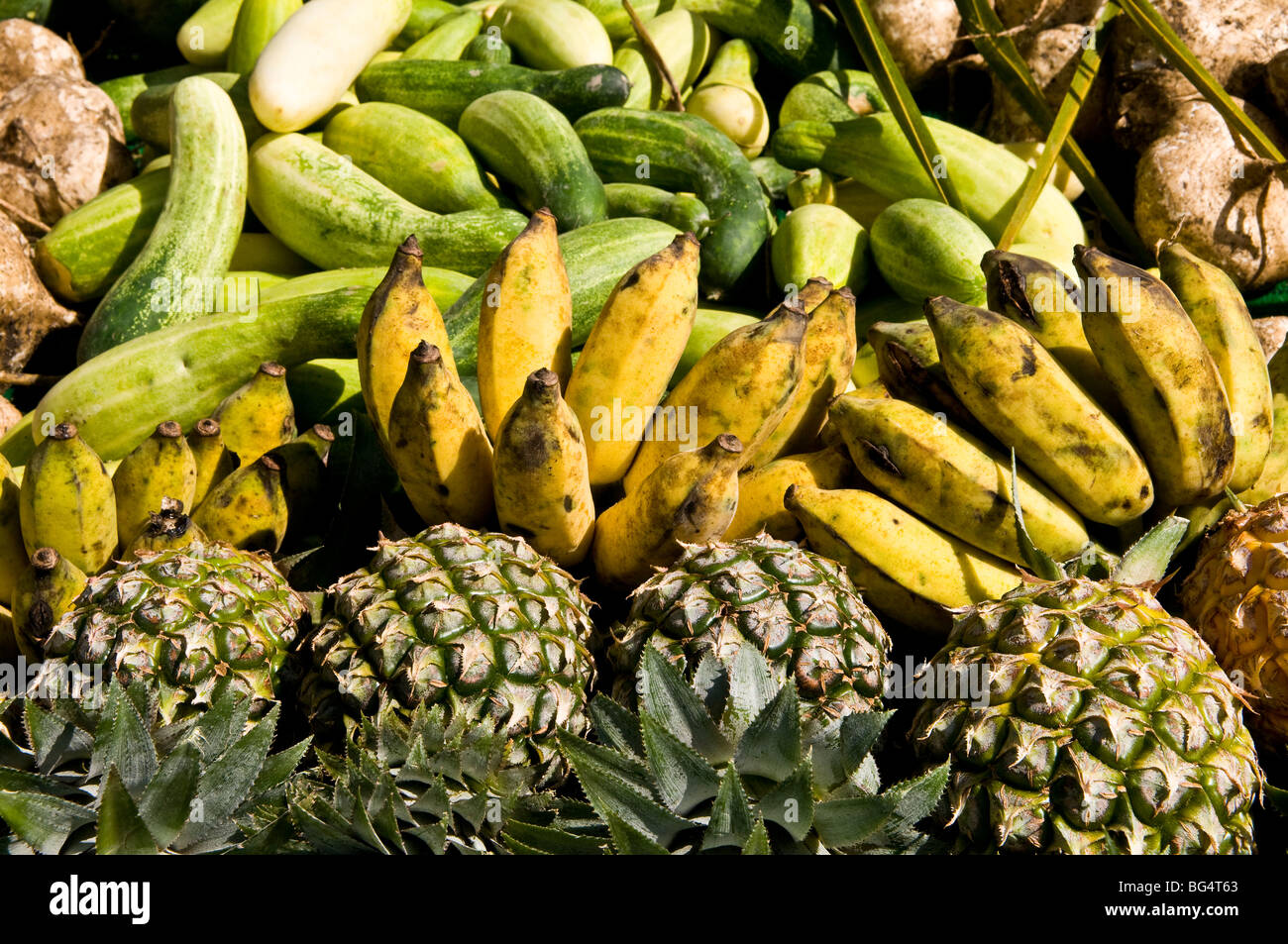 Fruit and veggie salad for the hungry elephants during the elephant ...