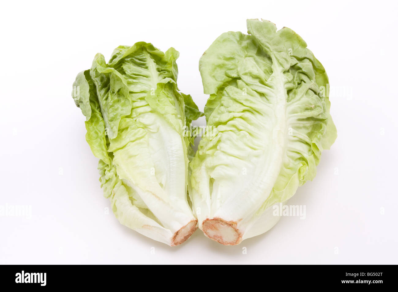 Little Gem lettuce isolated against white background Stock Photo - Alamy