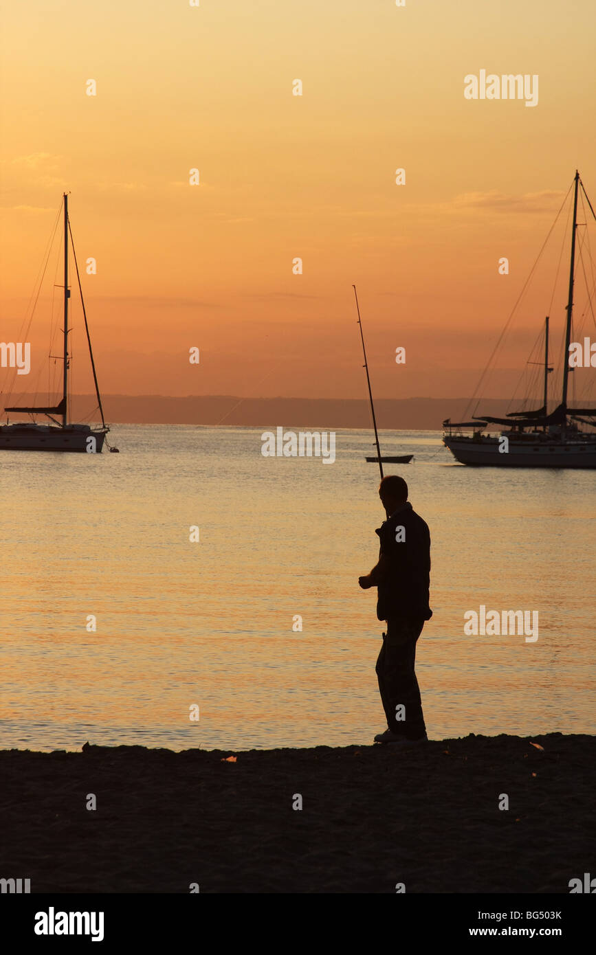 Angler fish sea beach hi-res stock photography and images - Alamy