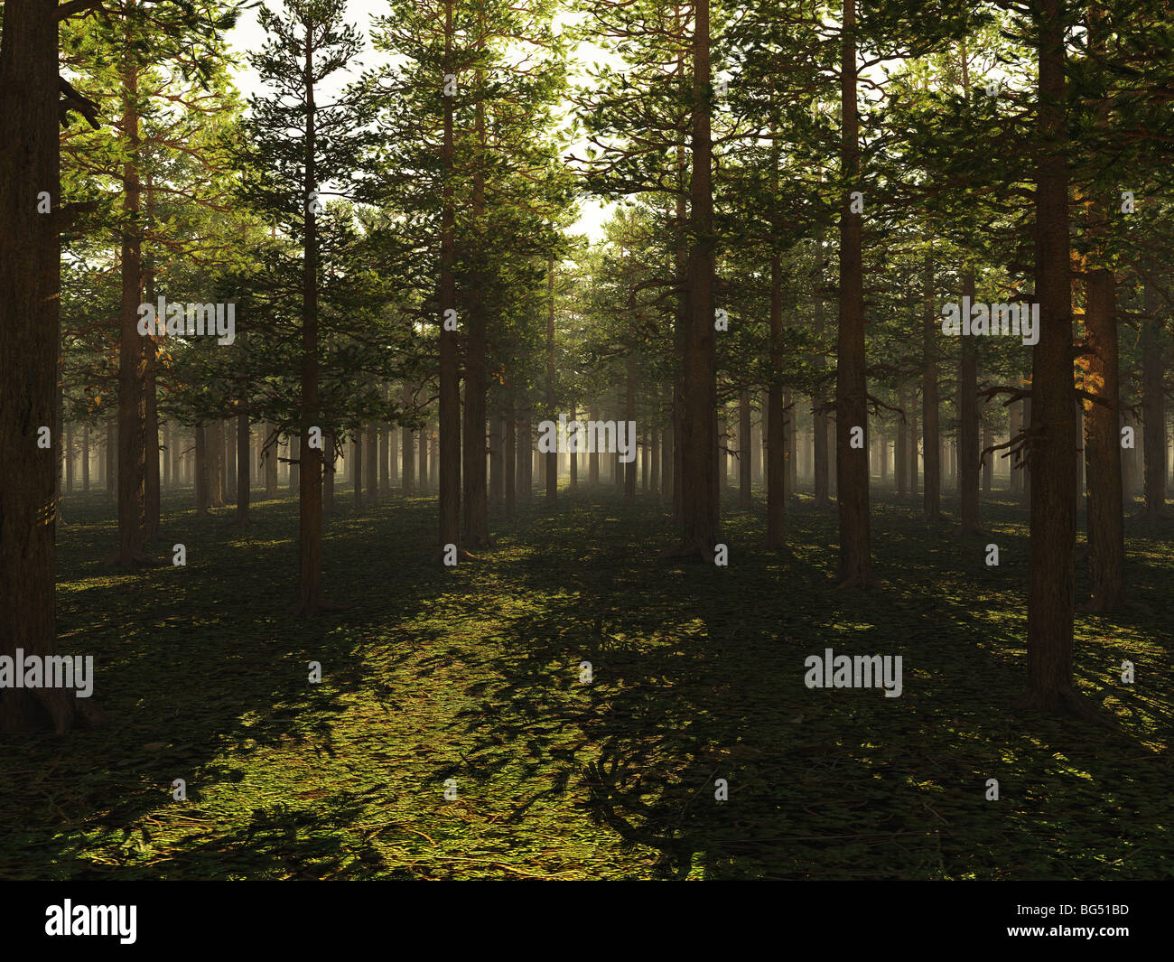 3d render light forest lit hi-res stock photography and images - Alamy