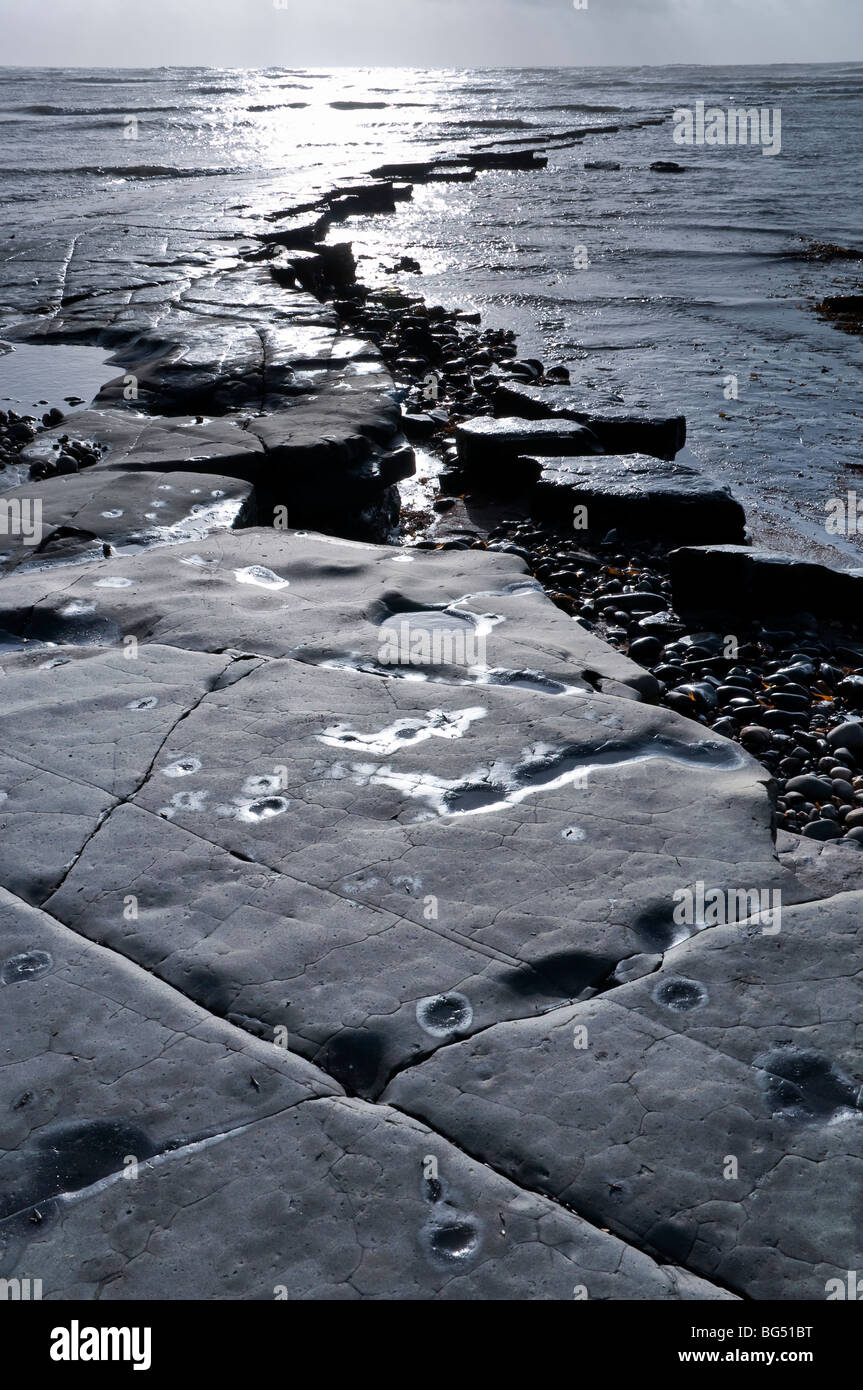 Kimmeridge ledge hi-res stock photography and images - Alamy