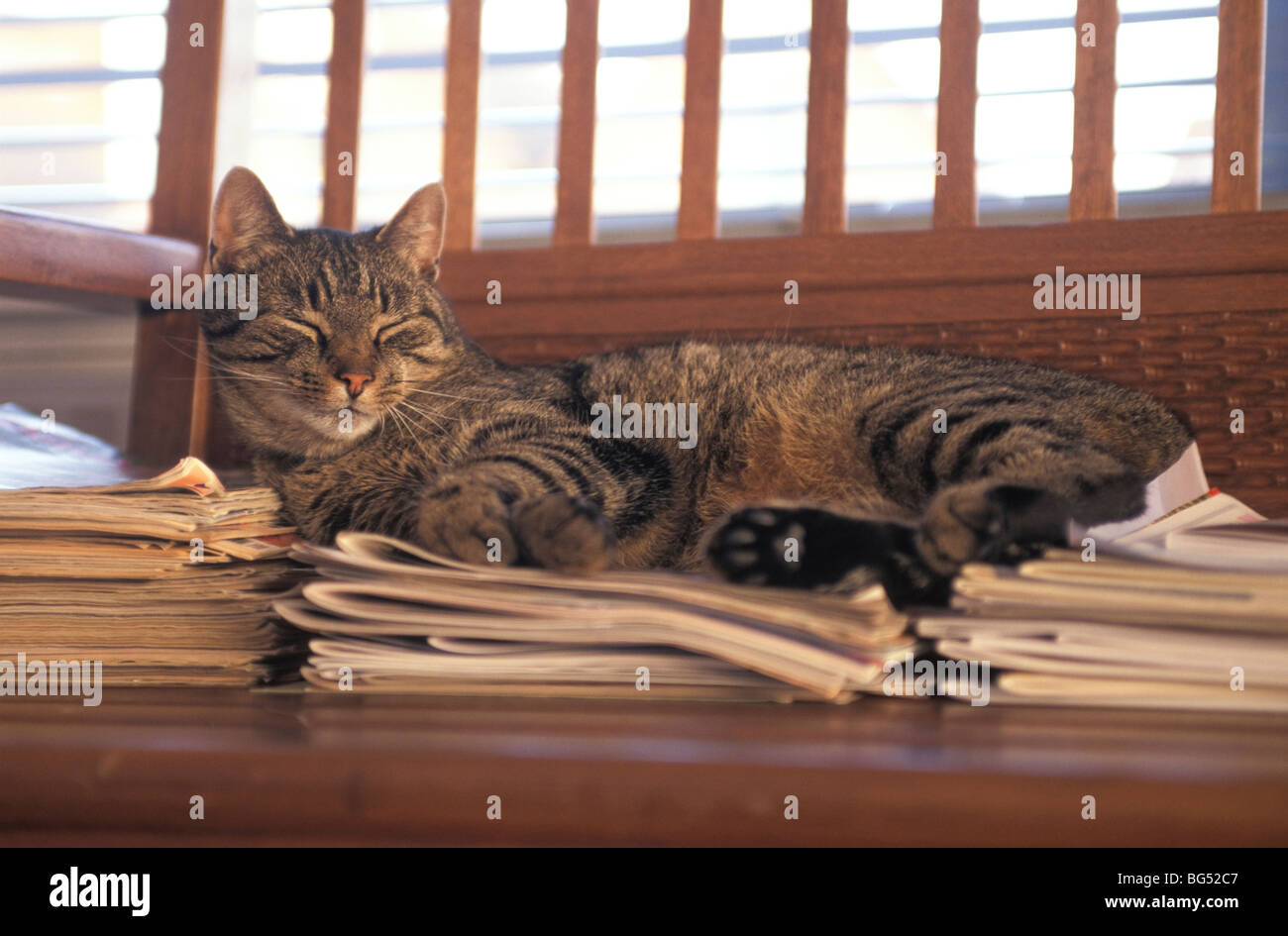 Animal magazines hi-res stock photography and images - Alamy