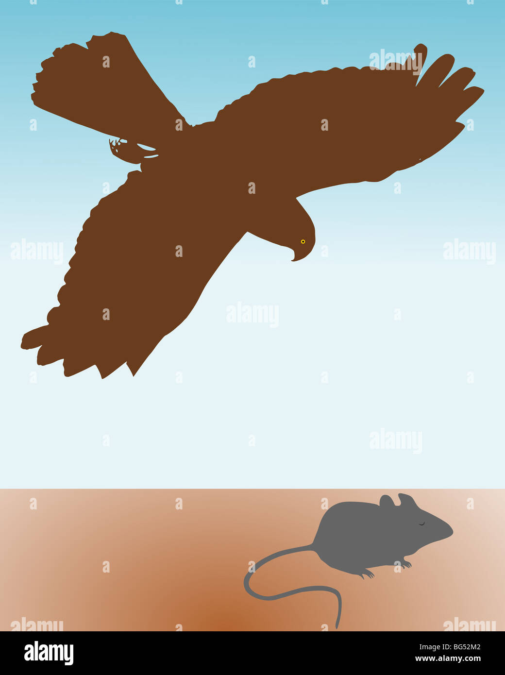 Bird of prey hunting a mouse Stock Photo - Alamy