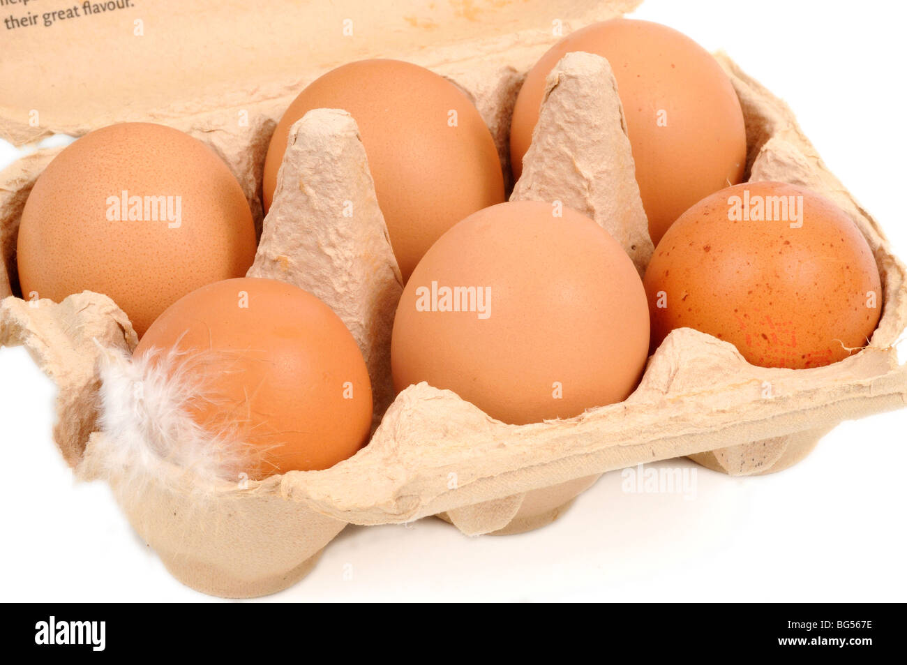 Free Range Organic Chicken S Egg Stock Photo Alamy