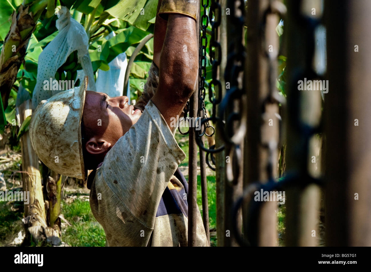A young Colombian worker preparing the aircable for banana transport on ...