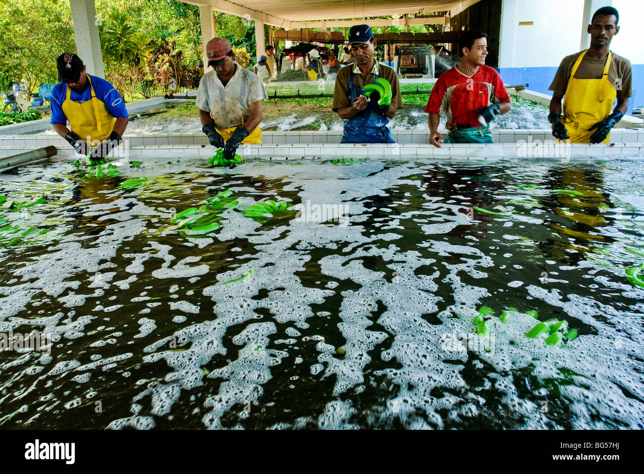 Banana workers, caribbean hi-res stock photography and images - Alamy