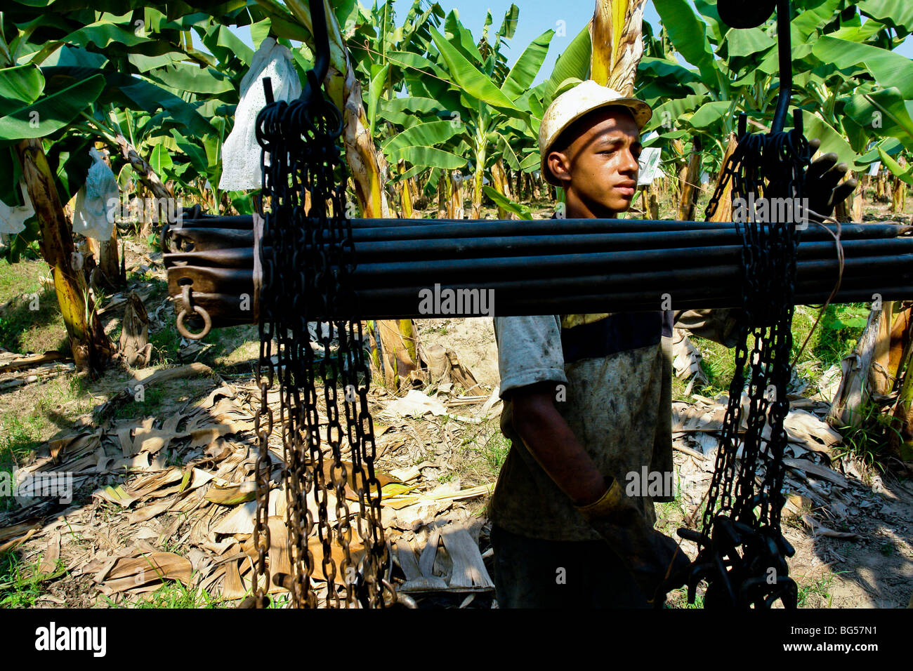 A young Colombian boy preparing the aircable for banana transport on ...