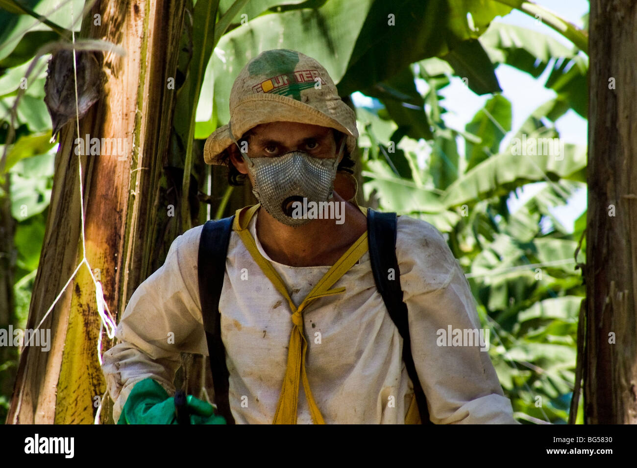 Spraying pesticides costa rica hi-res stock photography and images - Alamy