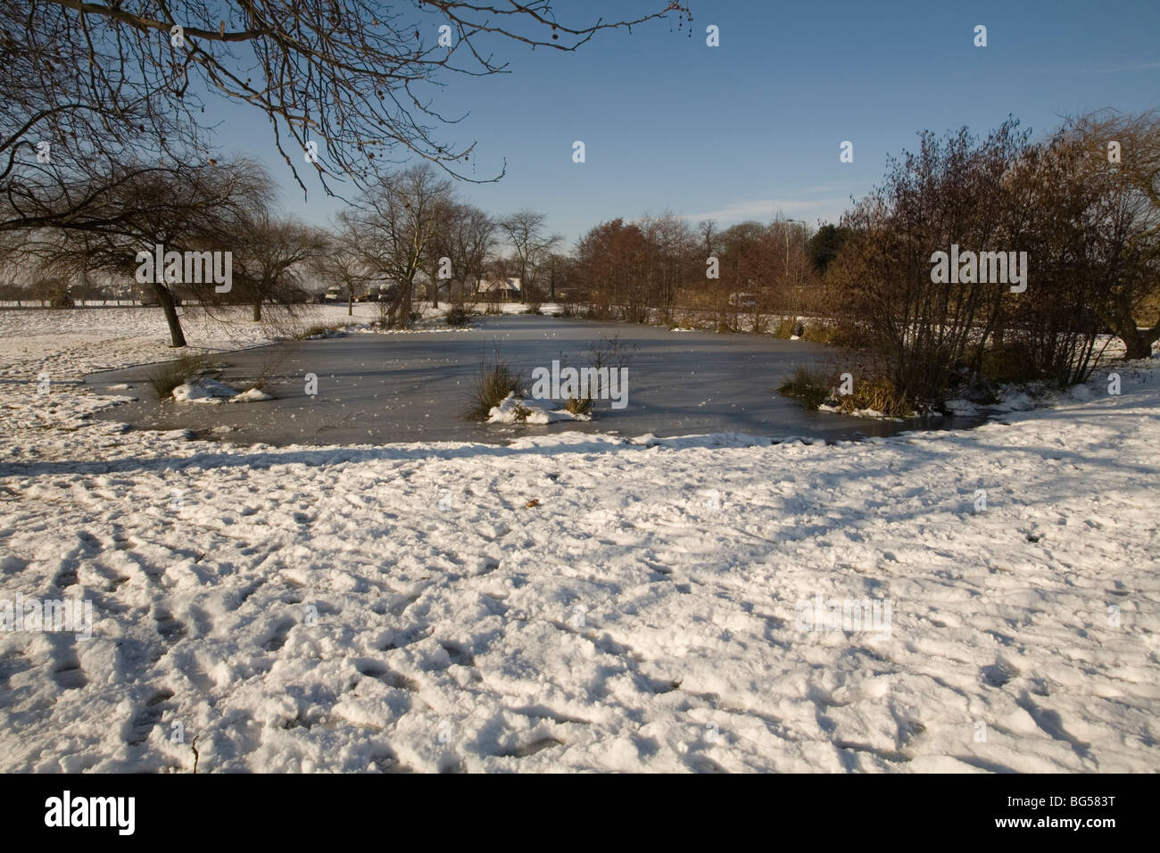 pond covered in ice and snow in Blackheath Stock Photo - Alamy