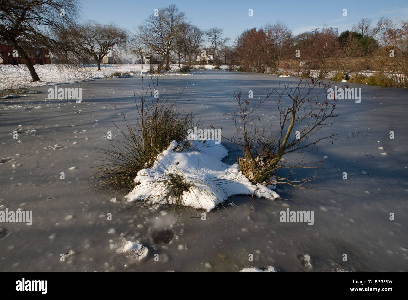 Leaf covered pond hi-res stock photography and images - Alamy