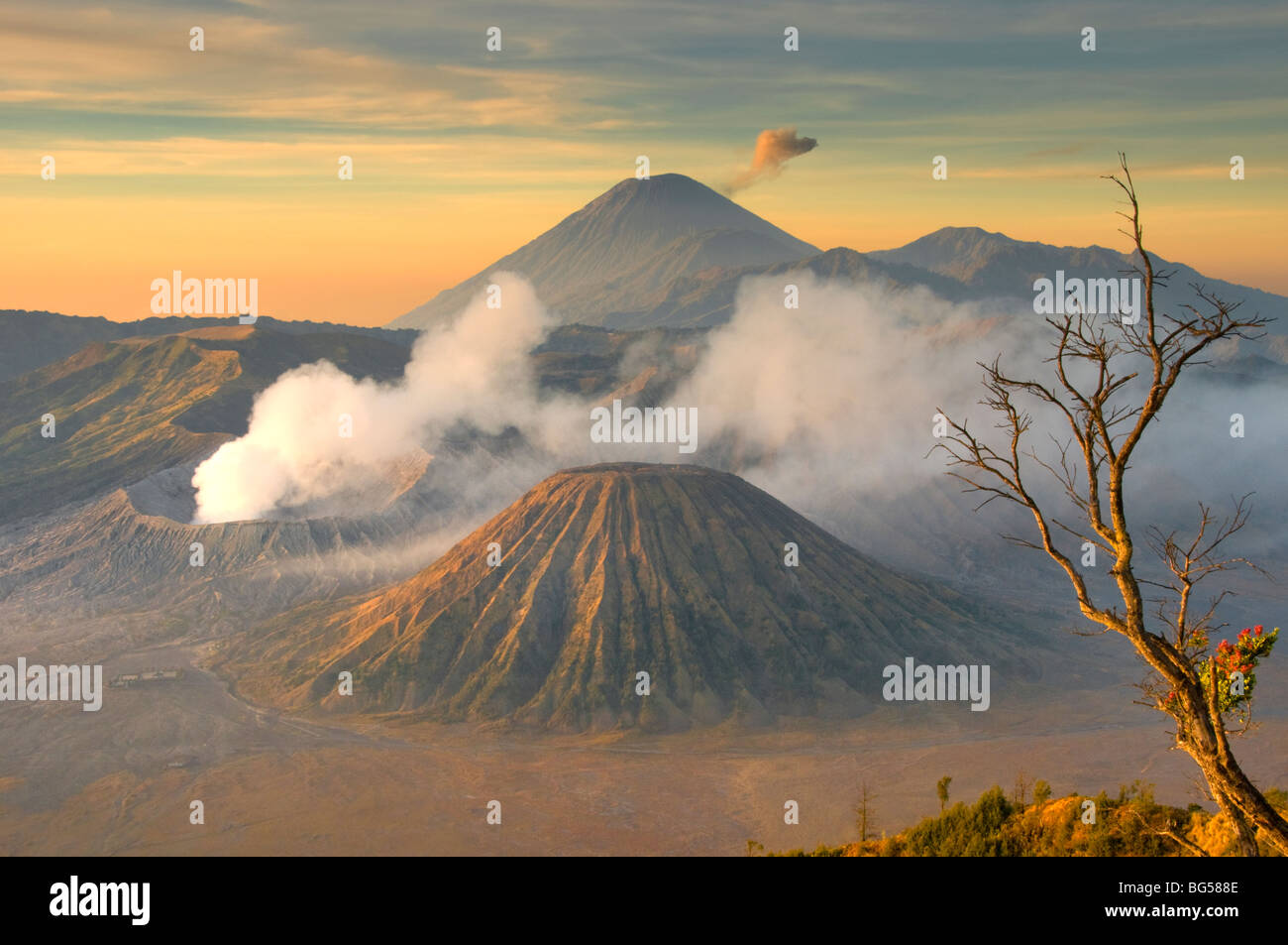 Bromo Tengger Semeru National Park, Java, Indonesia Stock Photo - Alamy