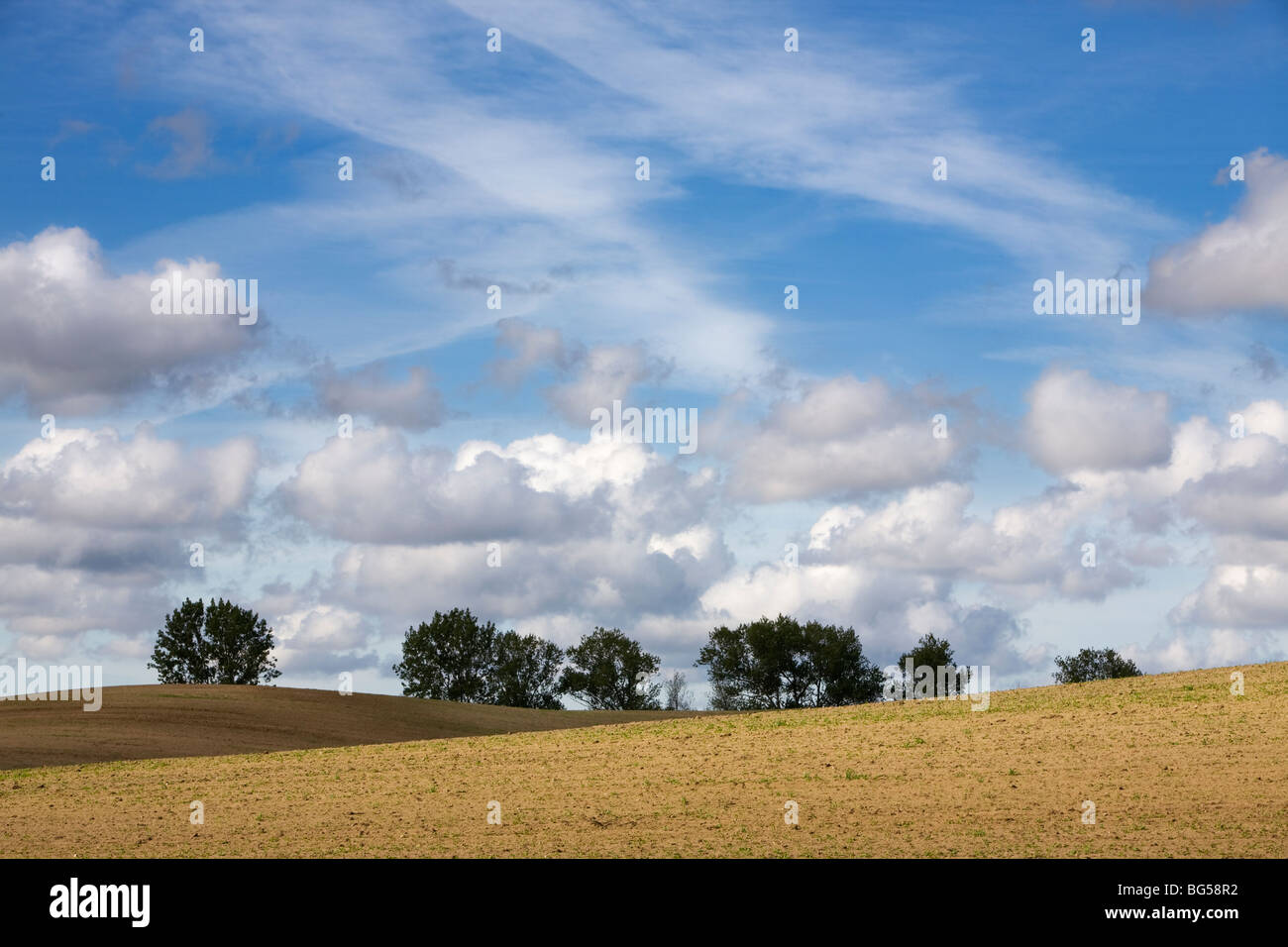 Landscape cloudy sky trees hi-res stock photography and images - Alamy