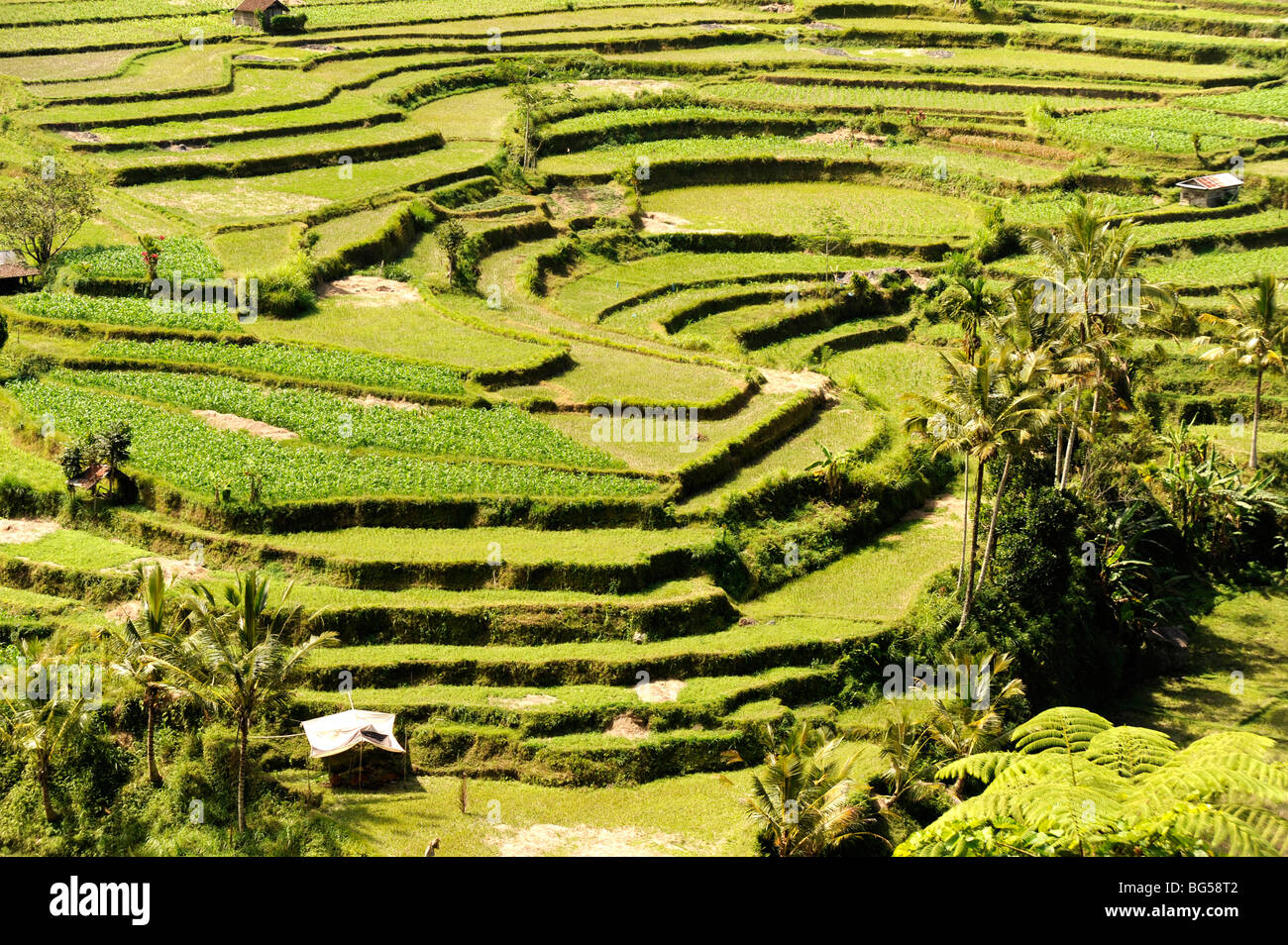Agung volcano and hinduist temple offering hi-res stock photography and ...