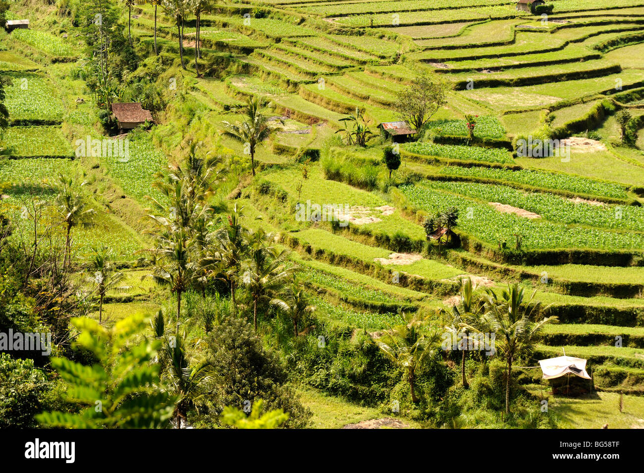 Agung volcano and hinduist temple offering hi-res stock photography and ...