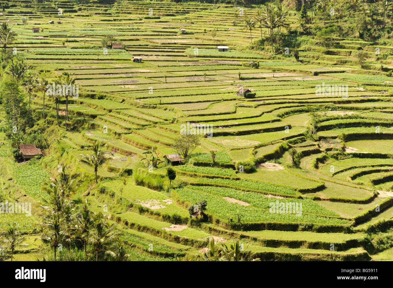 Mahagiri restaurant hi-res stock photography and images - Alamy