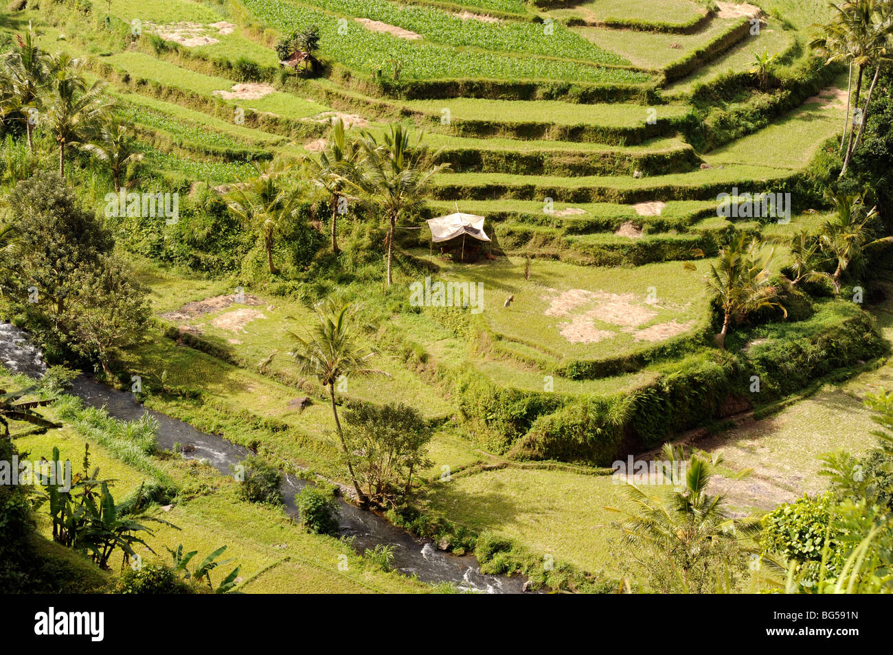 Agung volcano and hinduist temple offering hi-res stock photography and ...