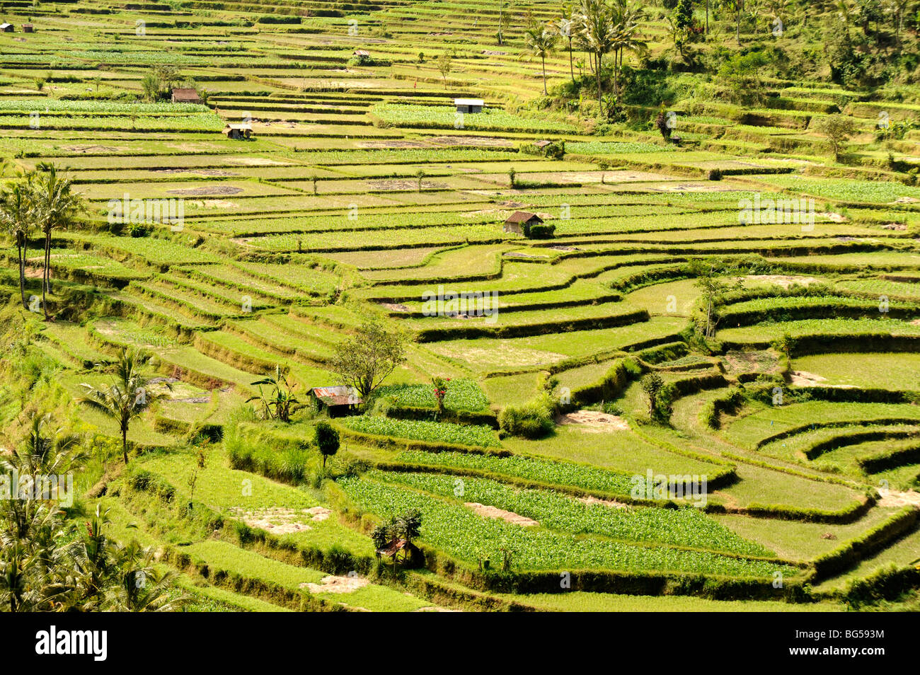 Agung volcano and hinduist temple offering hi-res stock photography and ...