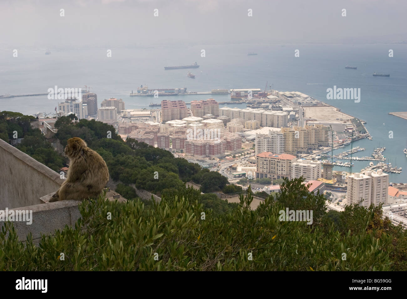 Gibraltar Harbour from the Rock Stock Photo - Alamy