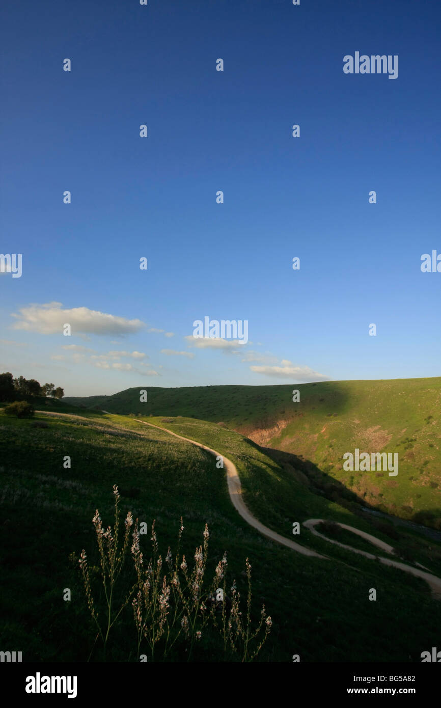 Israel, Jordan River Scenic Route Stock Photo - Alamy