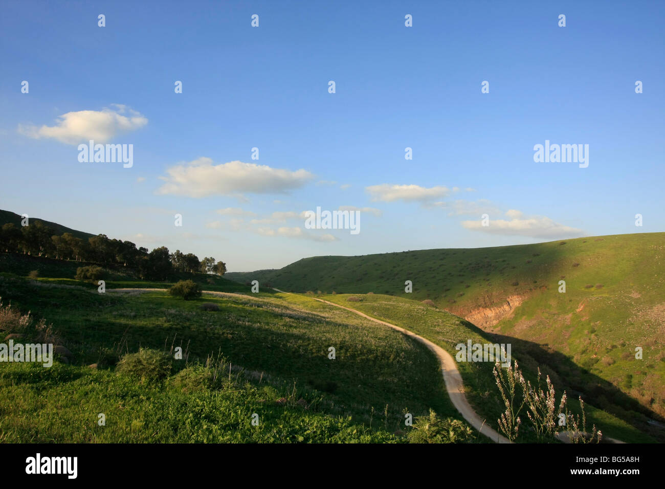 Israel, Jordan River Scenic Route Stock Photo - Alamy