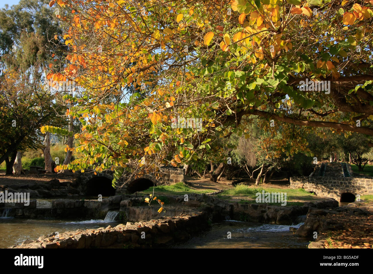 Israel, the Jordan River Park Stock Photo - Alamy