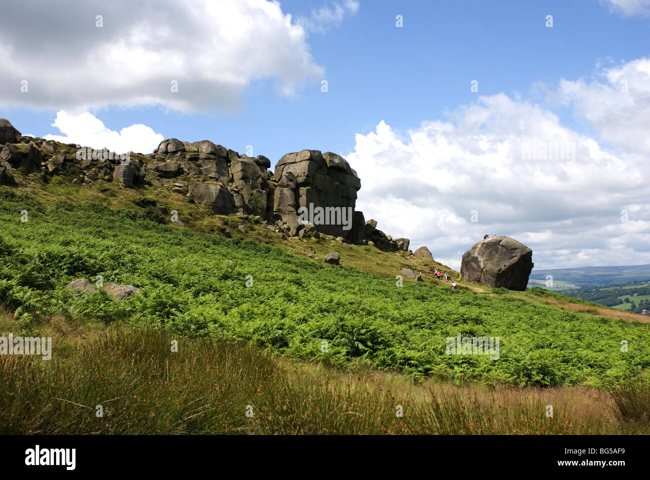 Cow And Calf Rocks