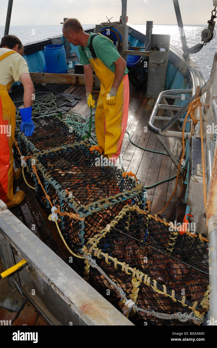 Lobsters fishing crab crabs hi-res stock photography and images - Alamy