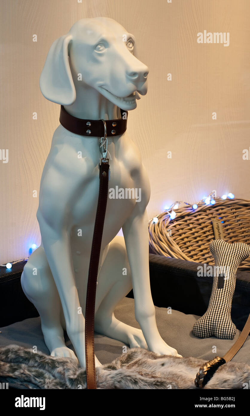 Dog lead display hi-res stock photography and images - Alamy