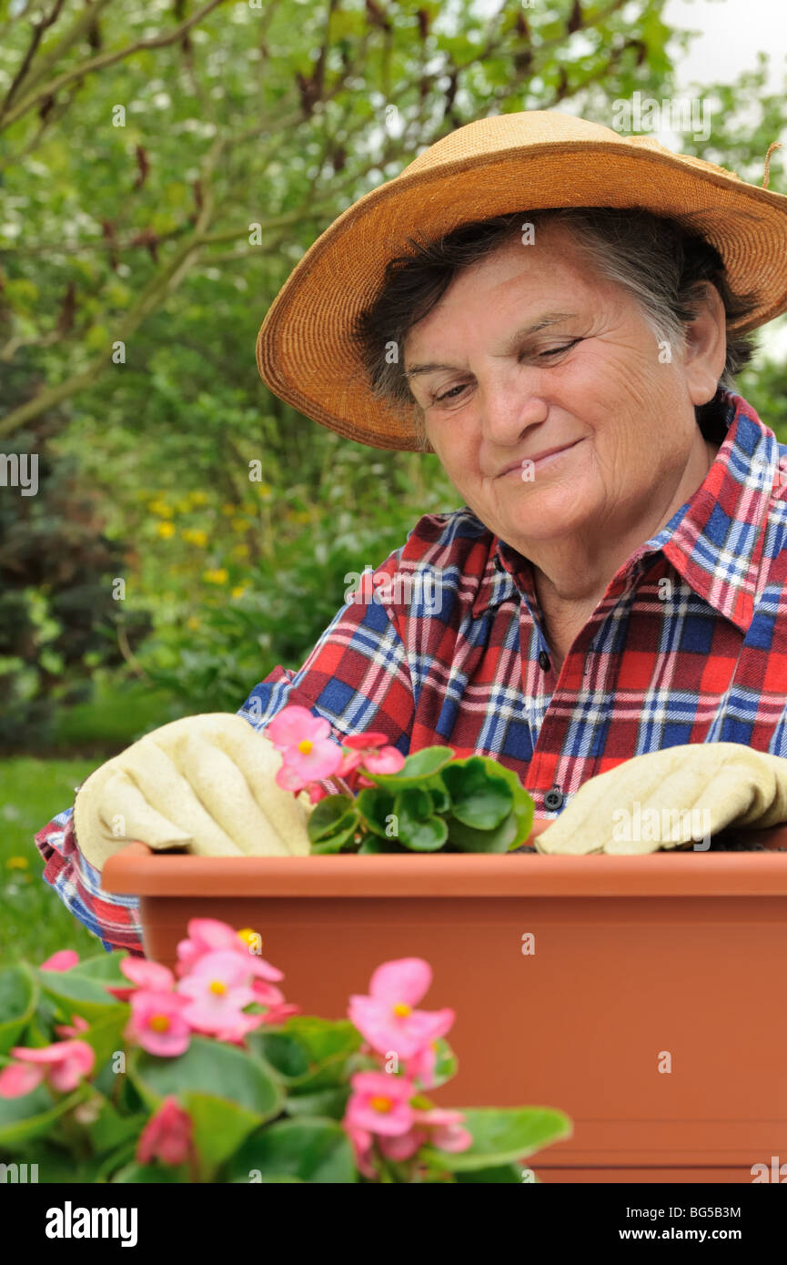 Senior woman - gardening Stock Photo - Alamy