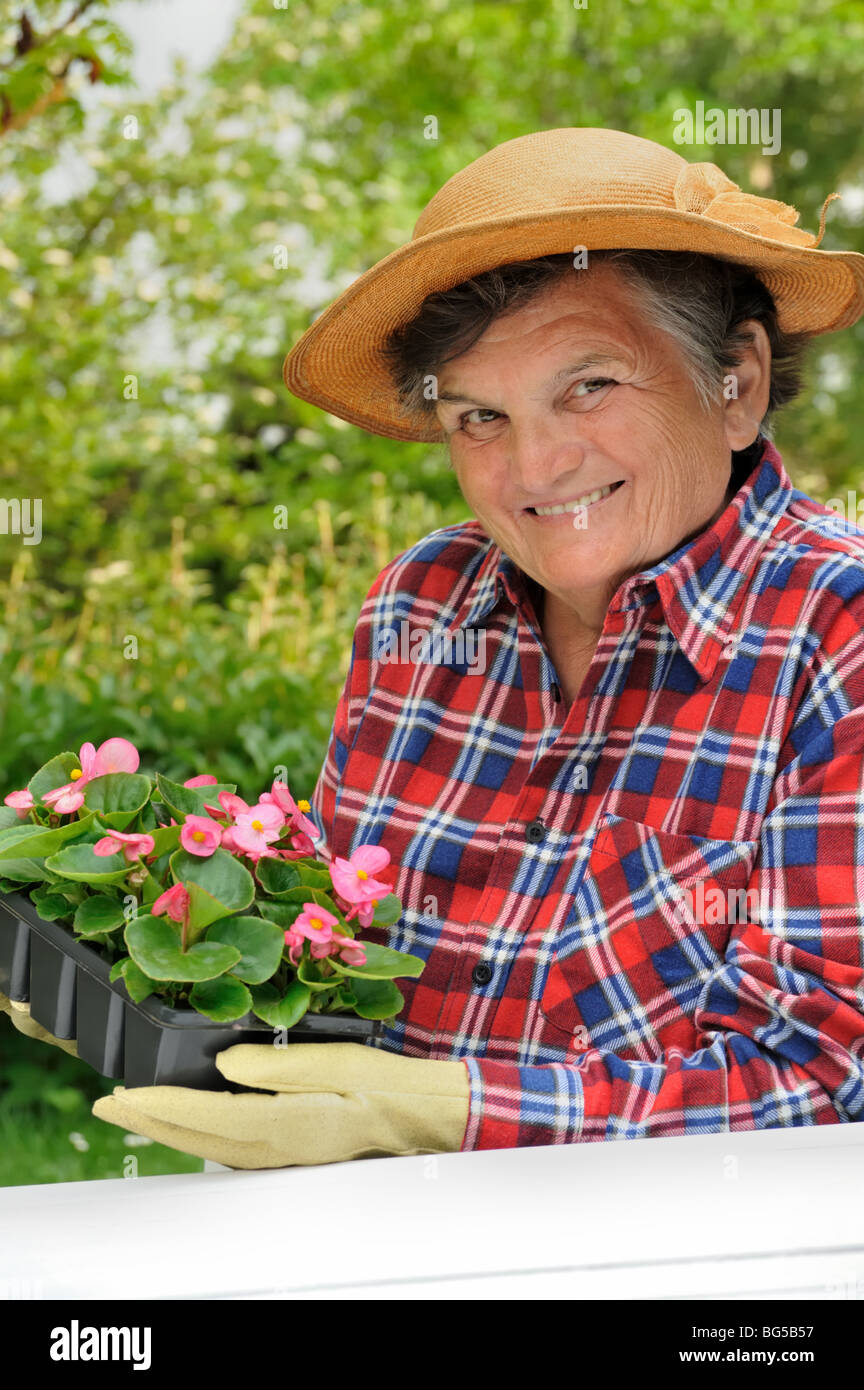 Senior woman - gardening Stock Photo - Alamy