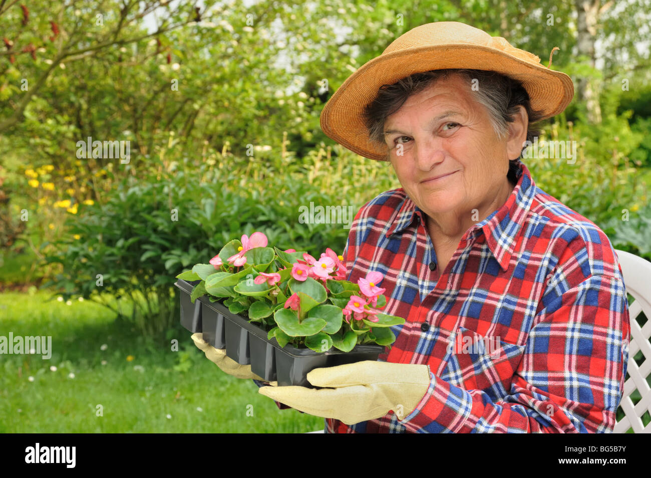 Senior woman - gardening Stock Photo - Alamy