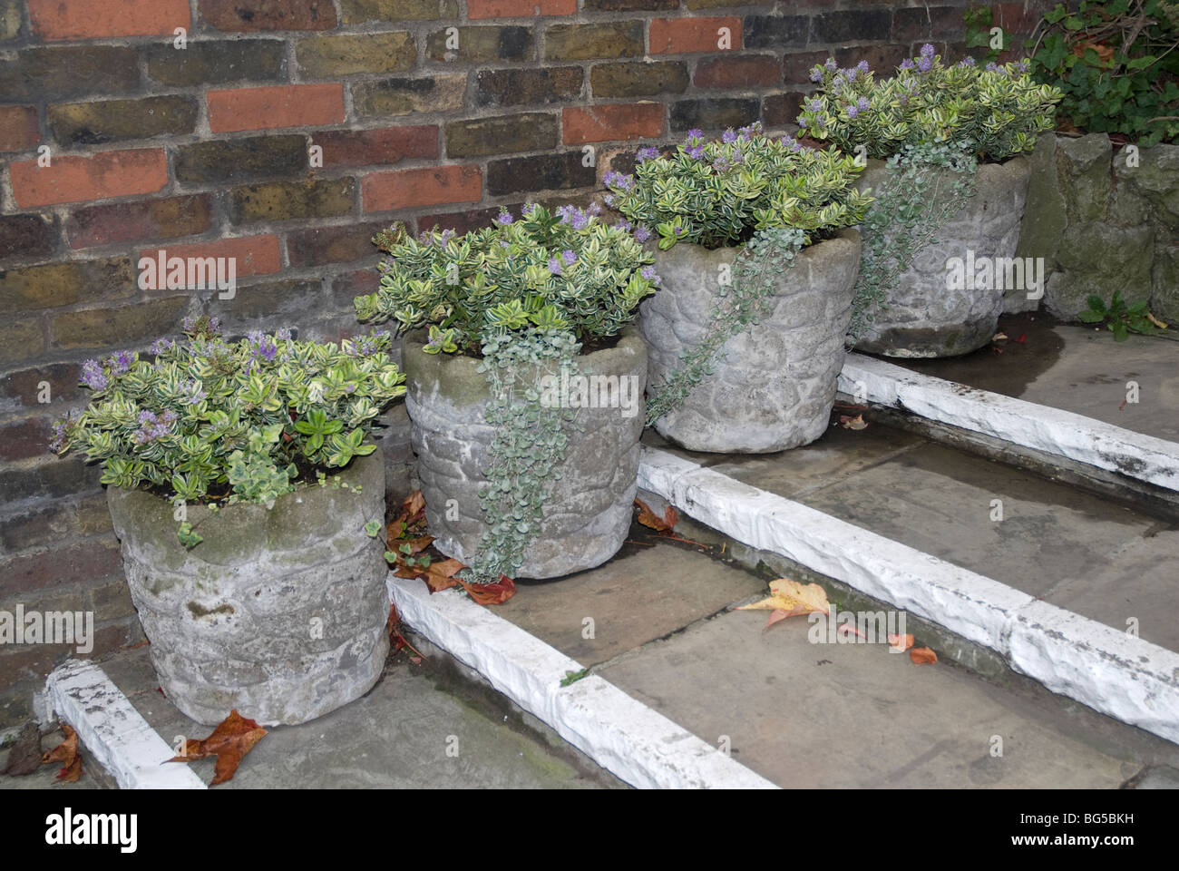Pots on steps hi-res stock photography and images - Alamy