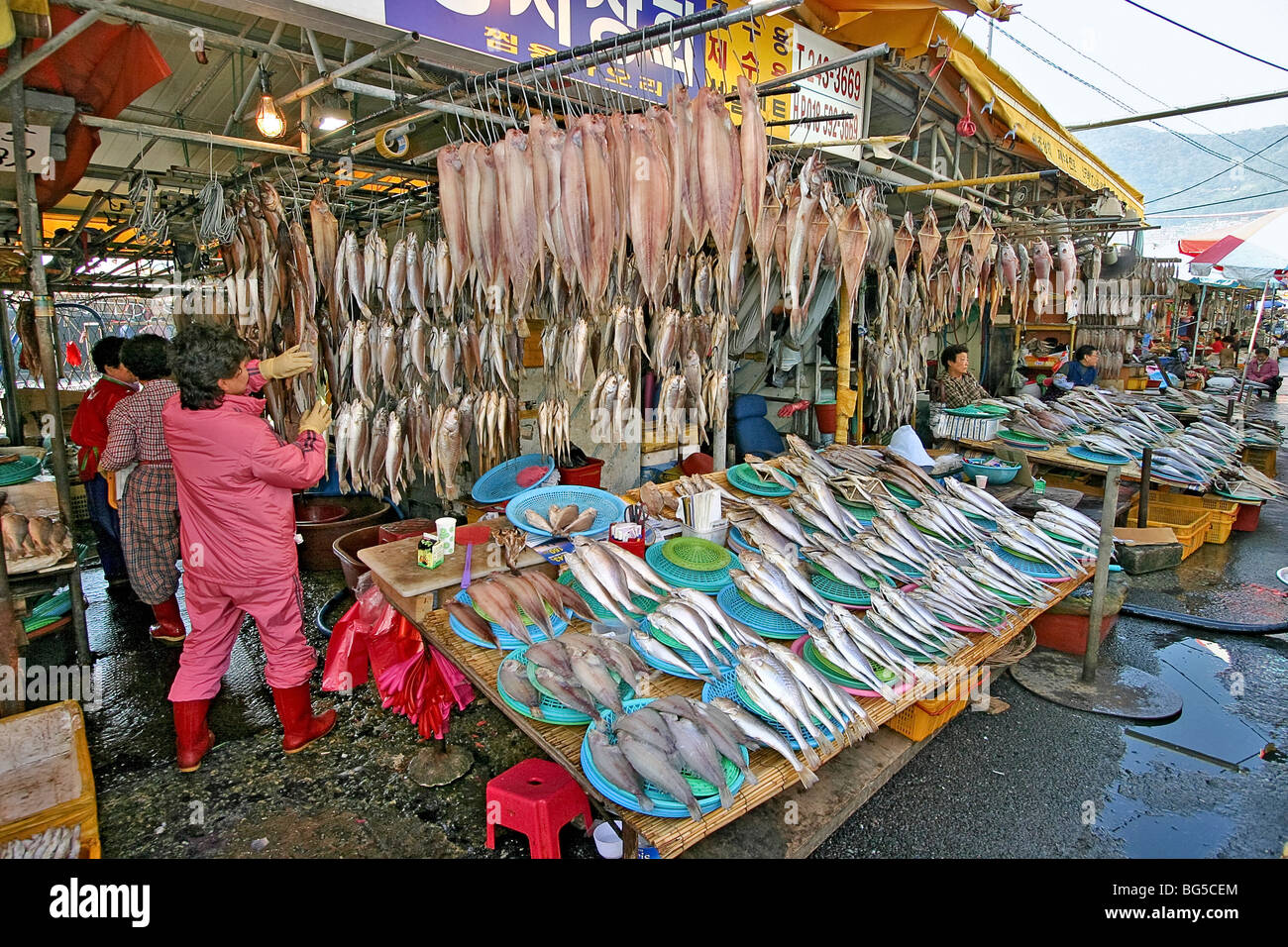Jagalchi fish market, Busan Stock Photo - Alamy