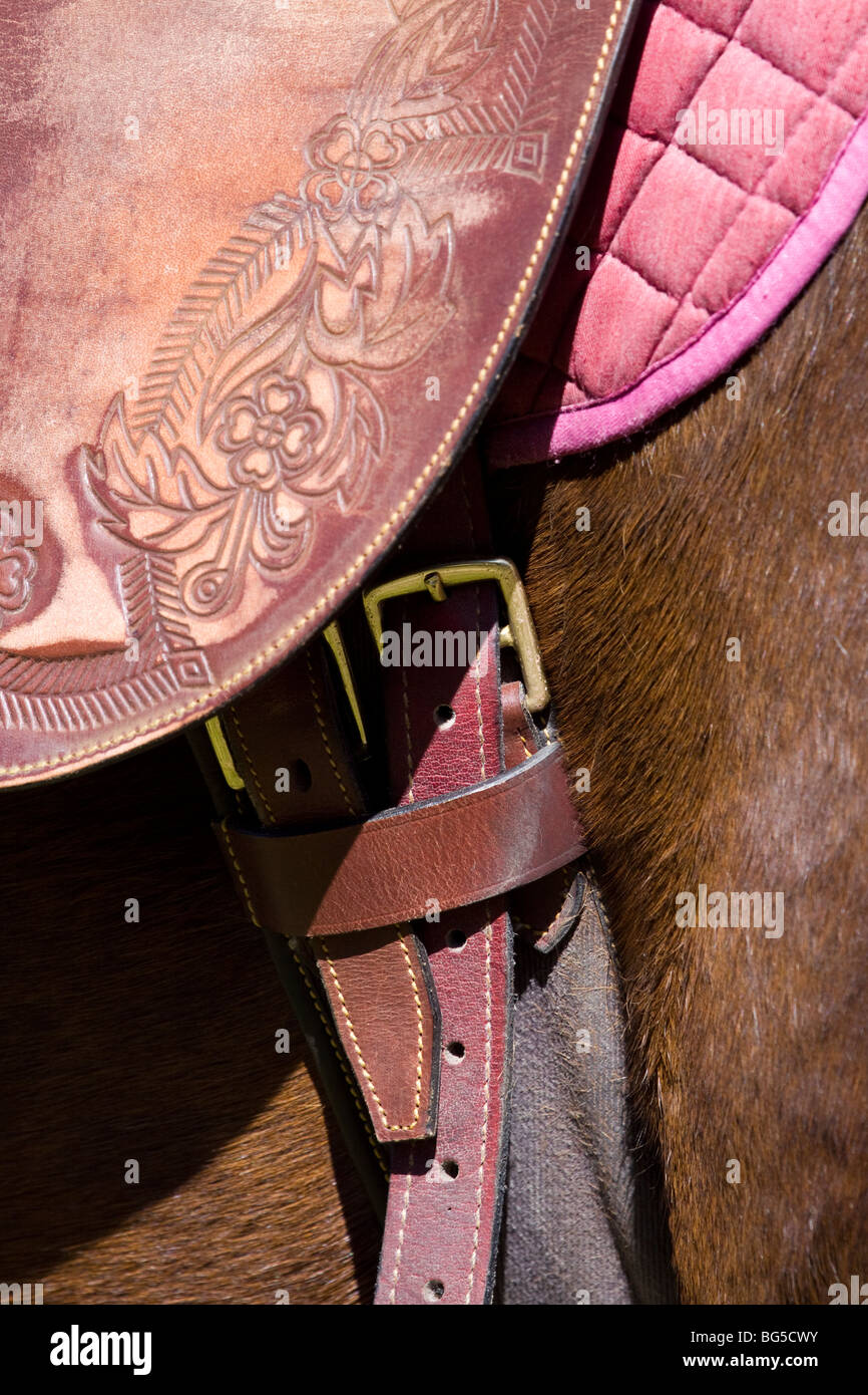 Close view of a horse's saddle Stock Photo - Alamy