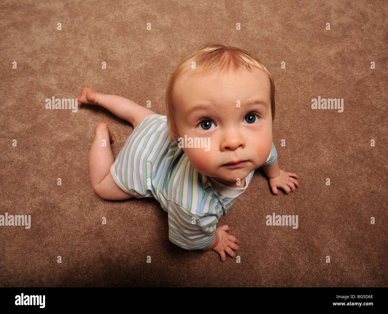 a wide-angle photo of a baby on a carpet Stock Photo - Alamy