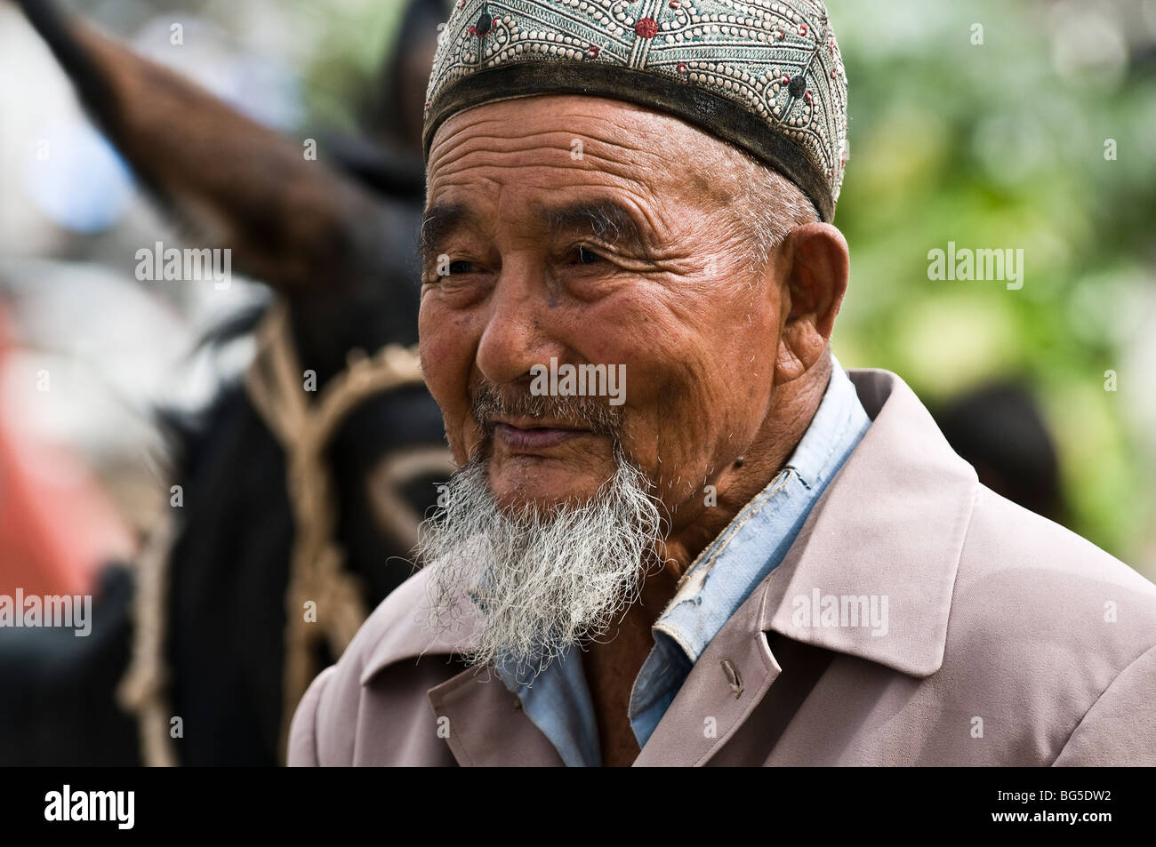 Uyghur man in Xinjiang Stock Photo - Alamy