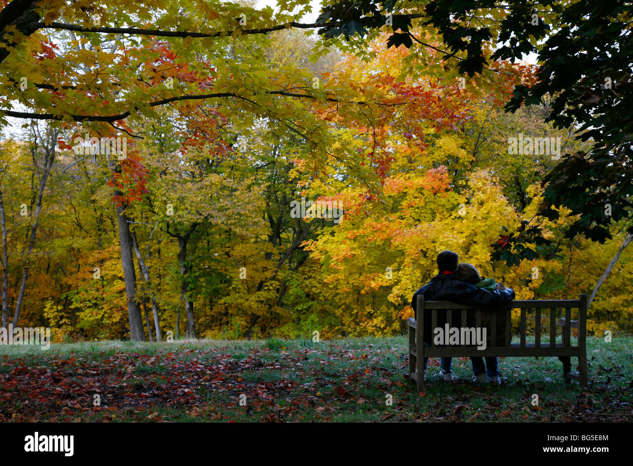 Discreet colors hi-res stock photography and images - Alamy