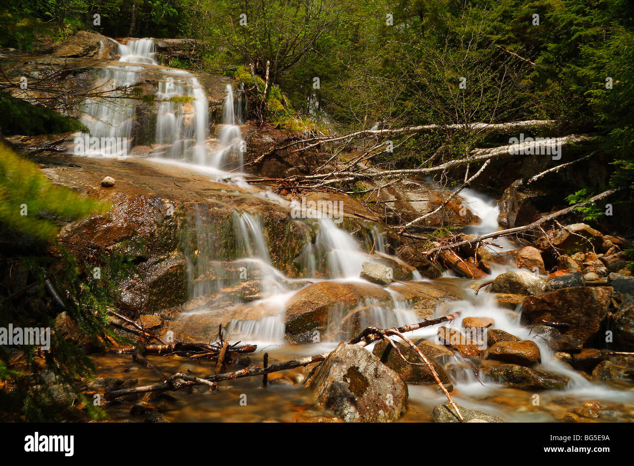 Rocky waterfall cascades of the upper section of the Cloudland Falls on ...