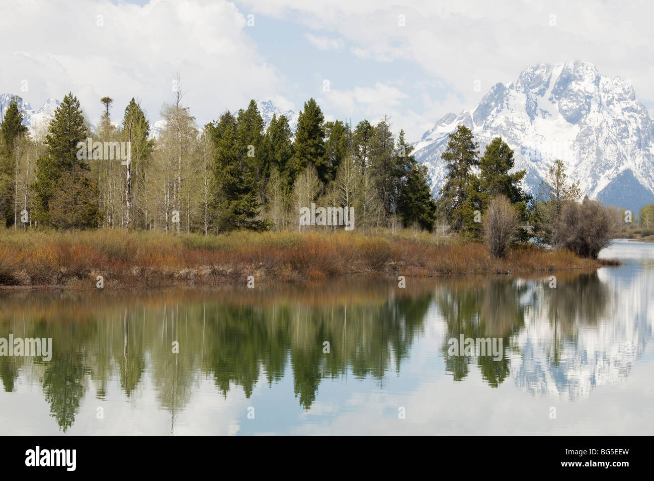 Cloud-shrouded Mt. Moran, trees and their reflections in the Snake ...