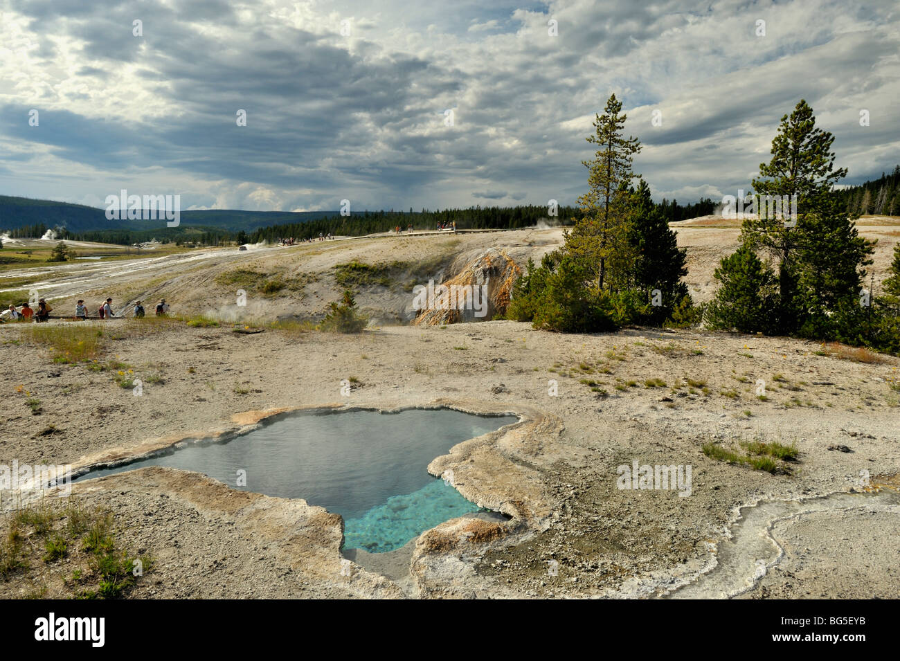 Hot spring in Yellowstone national park Stock Photo - Alamy