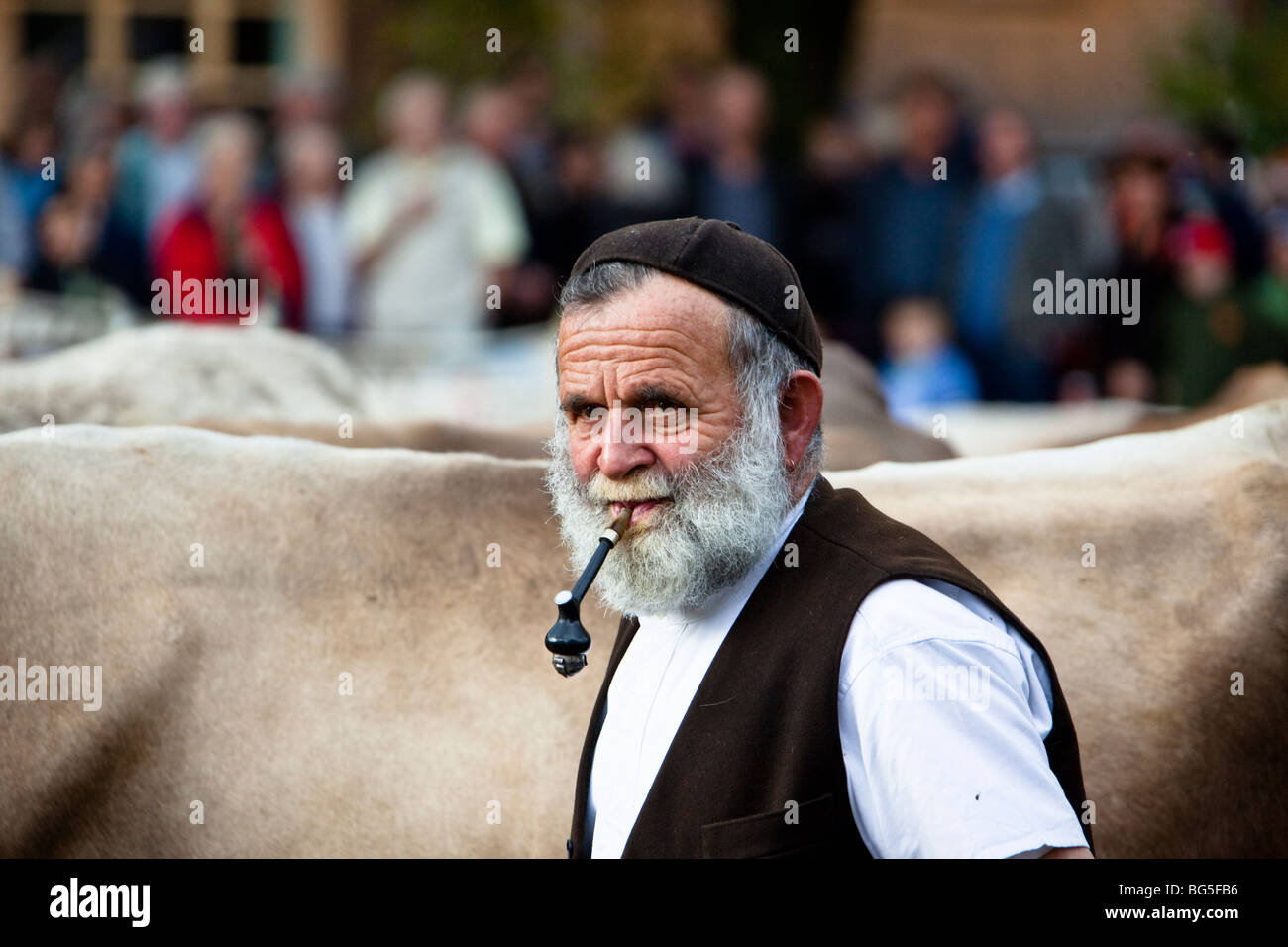 Senior Farmer smoking pipe at Autumn cattle show in Appenzell ...