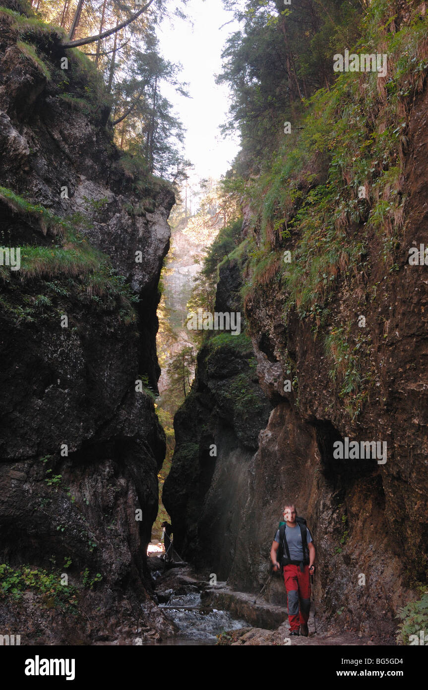 A walker in horne diery valley Vratna region in Mala Fatra or small ...