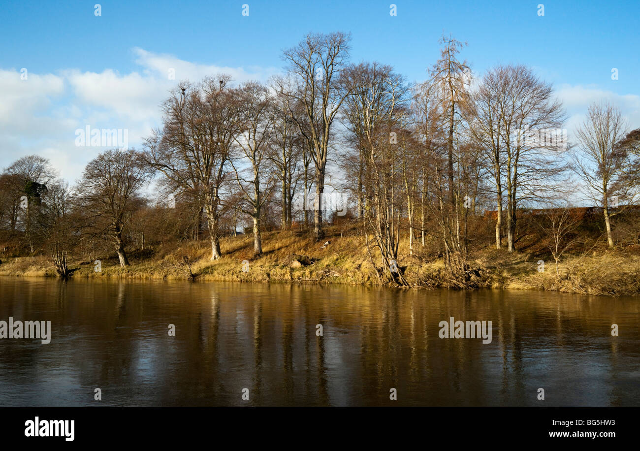 Teviot Water Gardens and garden centre near Kelso Scottish Borders UK ...