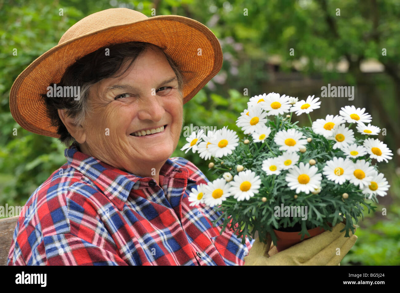 Gardening activity from potting plants hi-res stock photography and ...