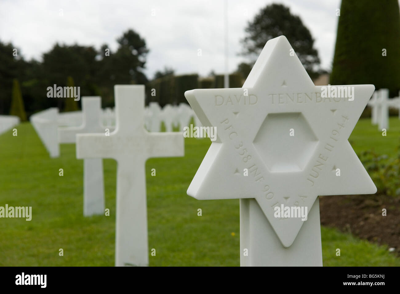 Jewish grave of David Tenenbaum at The Normandy American National ...