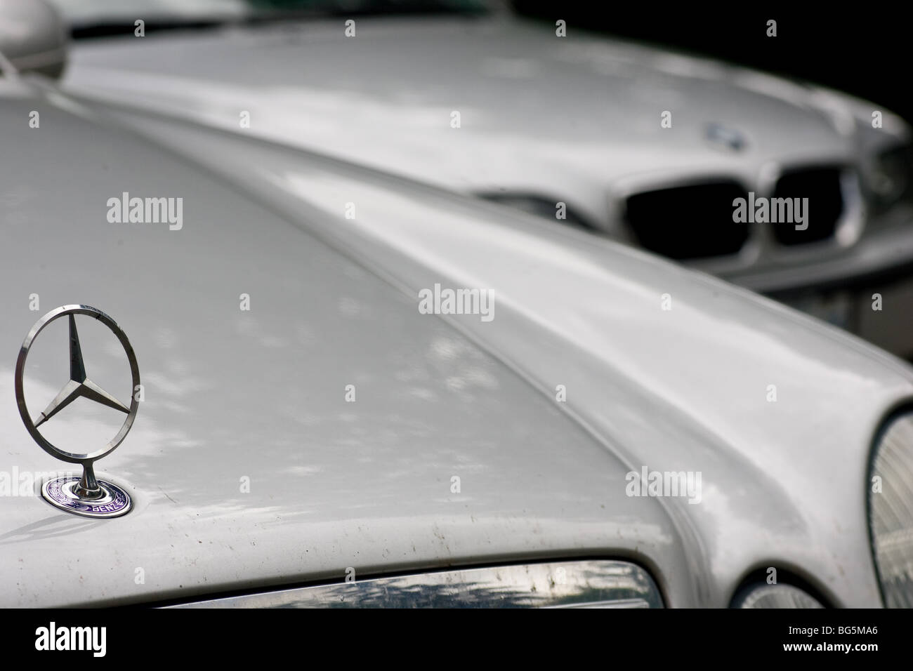 A closeup of the hood on a silver Mercedes, also showing the bug guts ...