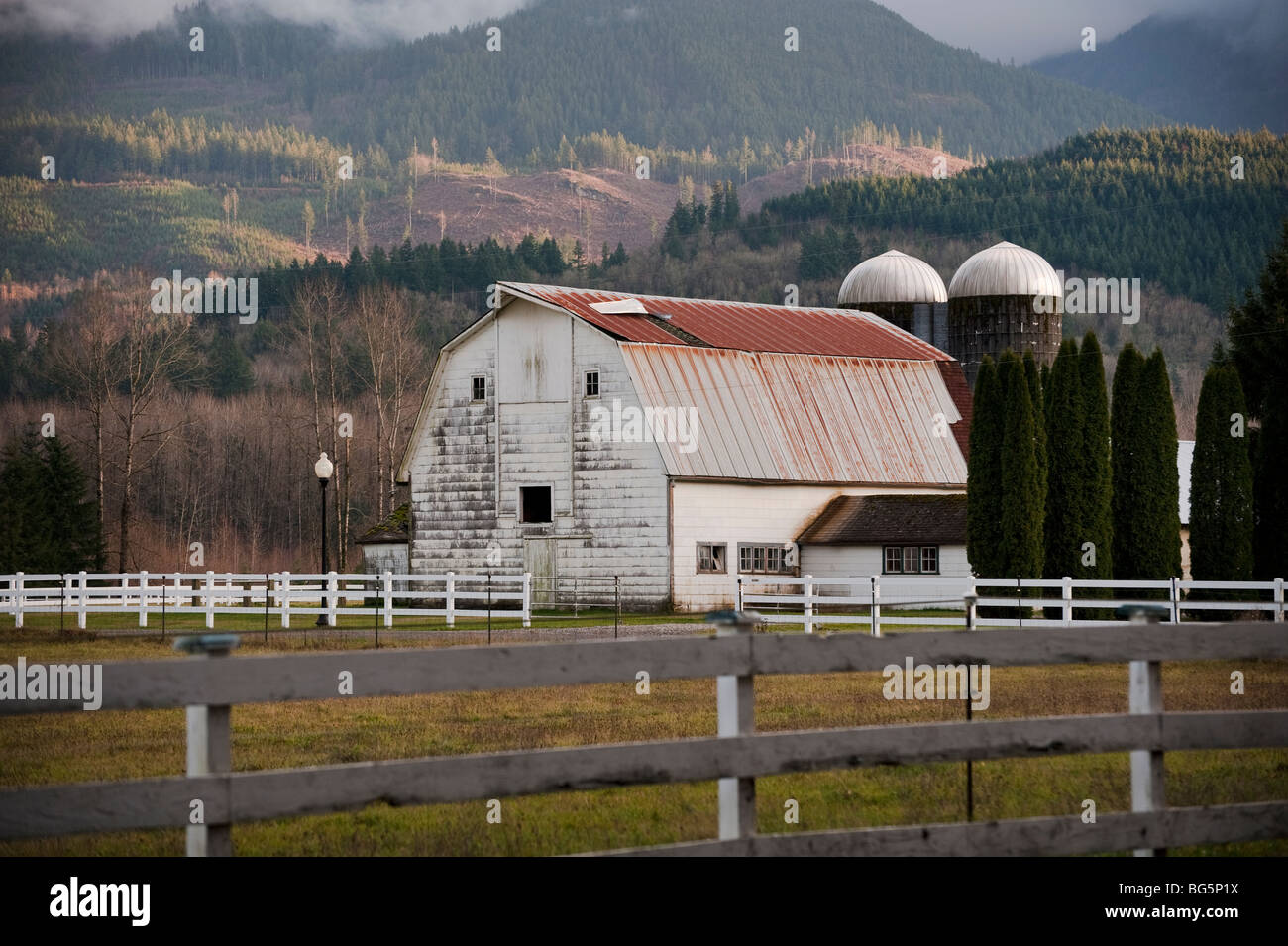 In rural Whatcom County, Washington, an idyllic country scene is shaped ...