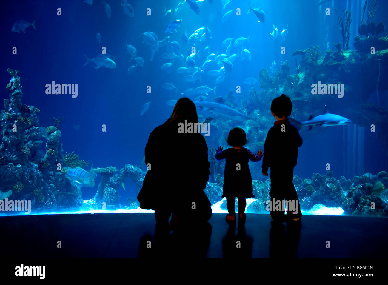 Kids children visitor hi-res stock photography and images - Alamy
