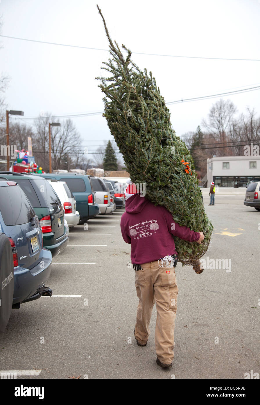 Man carrying a Christmas tree Stock Photo - Alamy