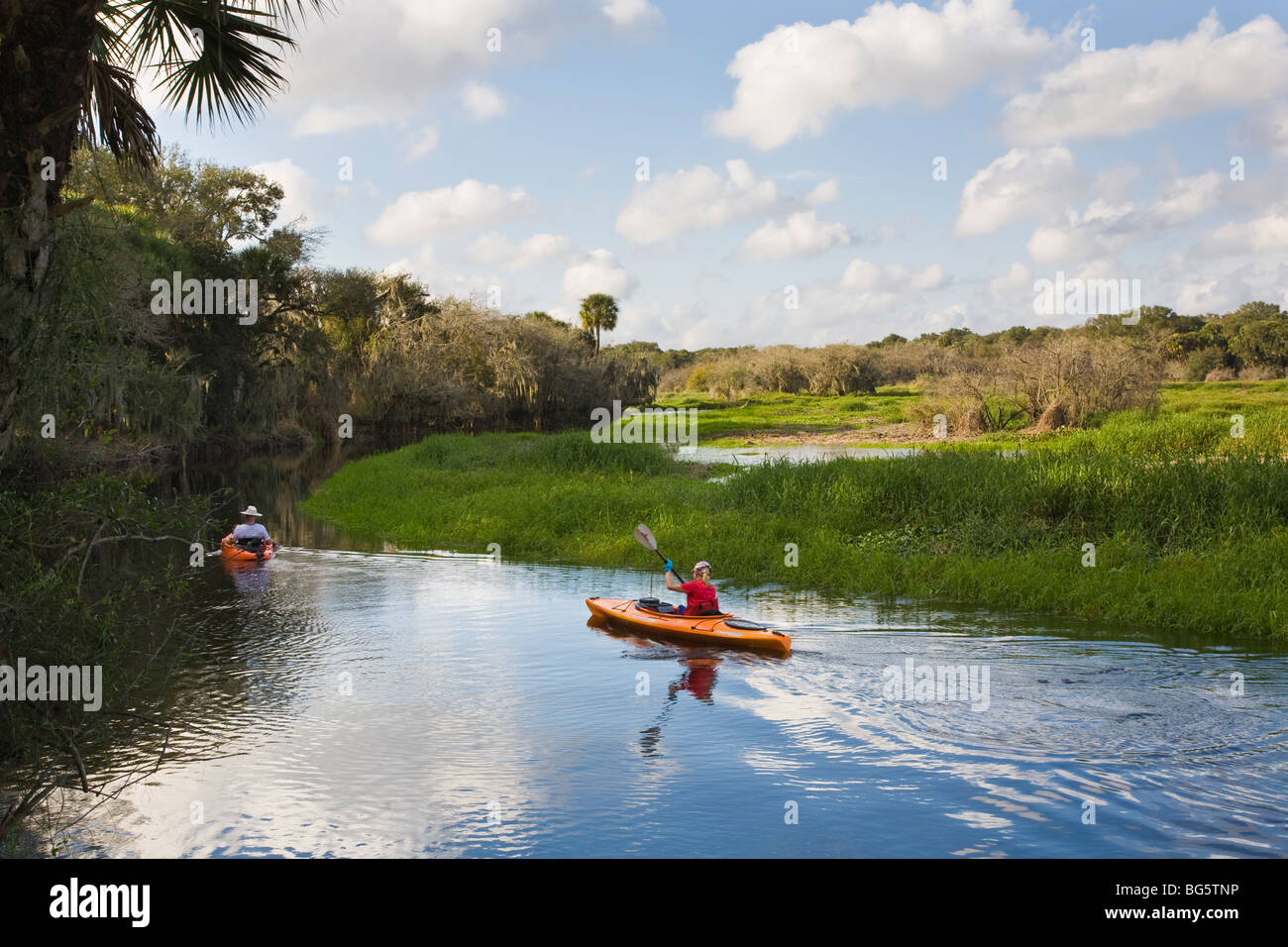 Myakka River in Myakka River State Park Sarasota Florida Stock Photo ...